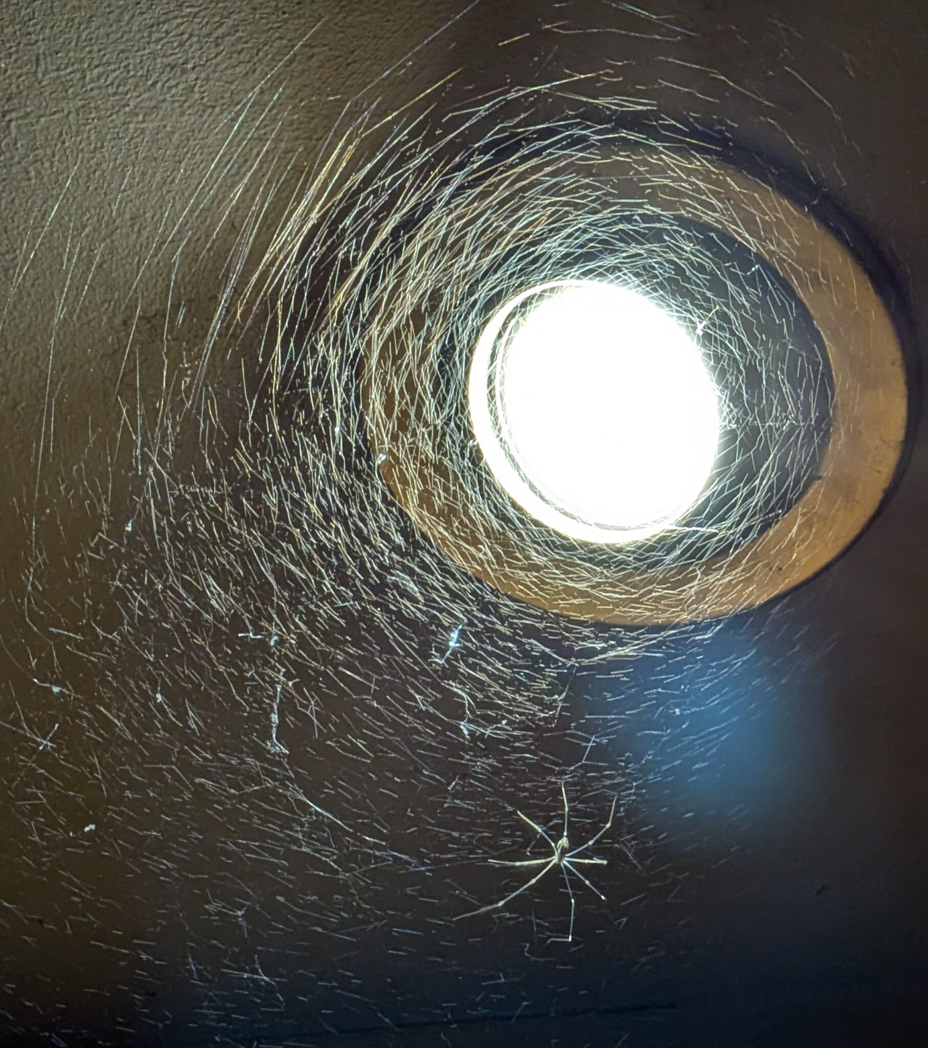 ¿Robot inventor? A propósito del caso DABUS puesto a prueba ante la ...